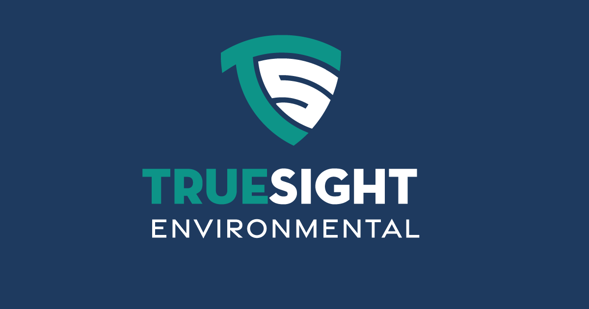Stachybotrys Black Mold: Facts vs. Fears | TrueSight Environmental